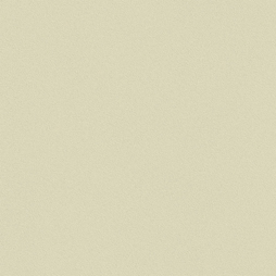 Shell Gray | Product | belbien