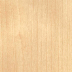 Plain Maple(SC) | Product | belbien